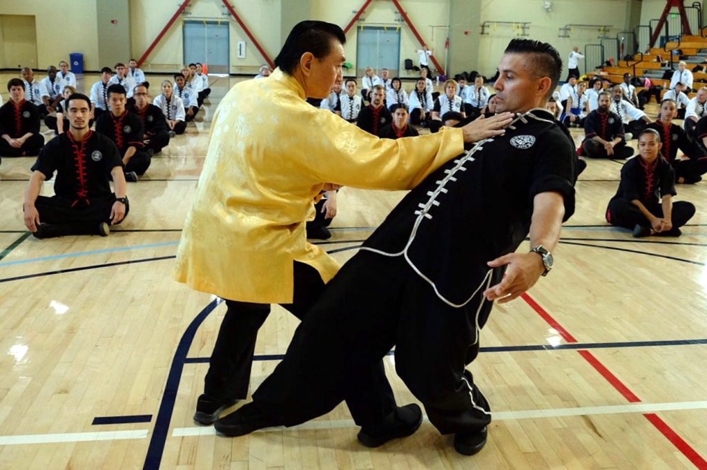 Choy Li Fut Kung-Fu - The Origins of Combat Kung-Fu