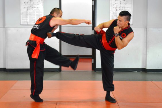 Kicks & Leg Sweeps - Choy Li Fut’s Long Range Weapons - Combat Kung-Fu